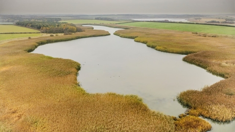 East Chevington | Northumberland Wildlife Trust