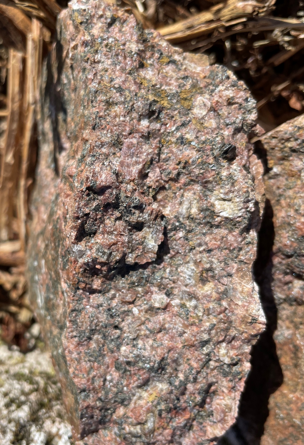 County rock and fossil for Northumberland | Northumberland Wildlife Trust