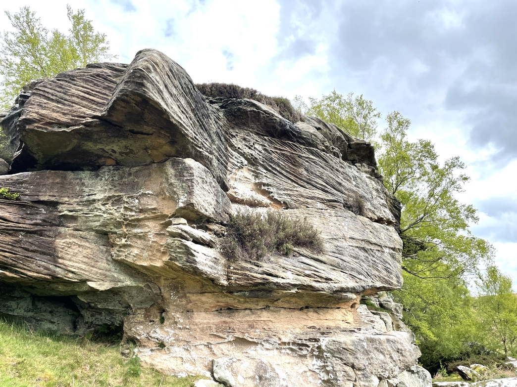 County rock and fossil for Northumberland | Northumberland Wildlife Trust