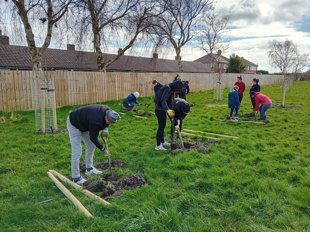 North East Community Forest Partnership | Northumberland Wildlife Trust