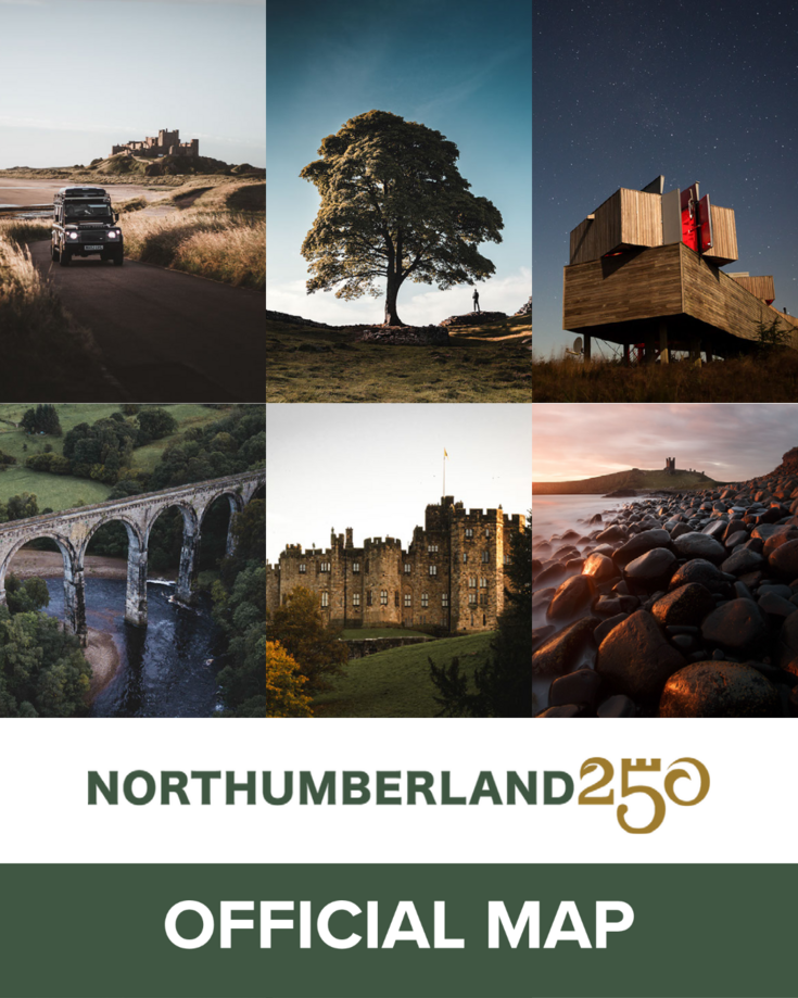 Kielder project supported by 250-miles of wildness | Northumberland ...