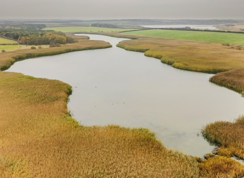 Druridge Pools | Northumberland Wildlife Trust